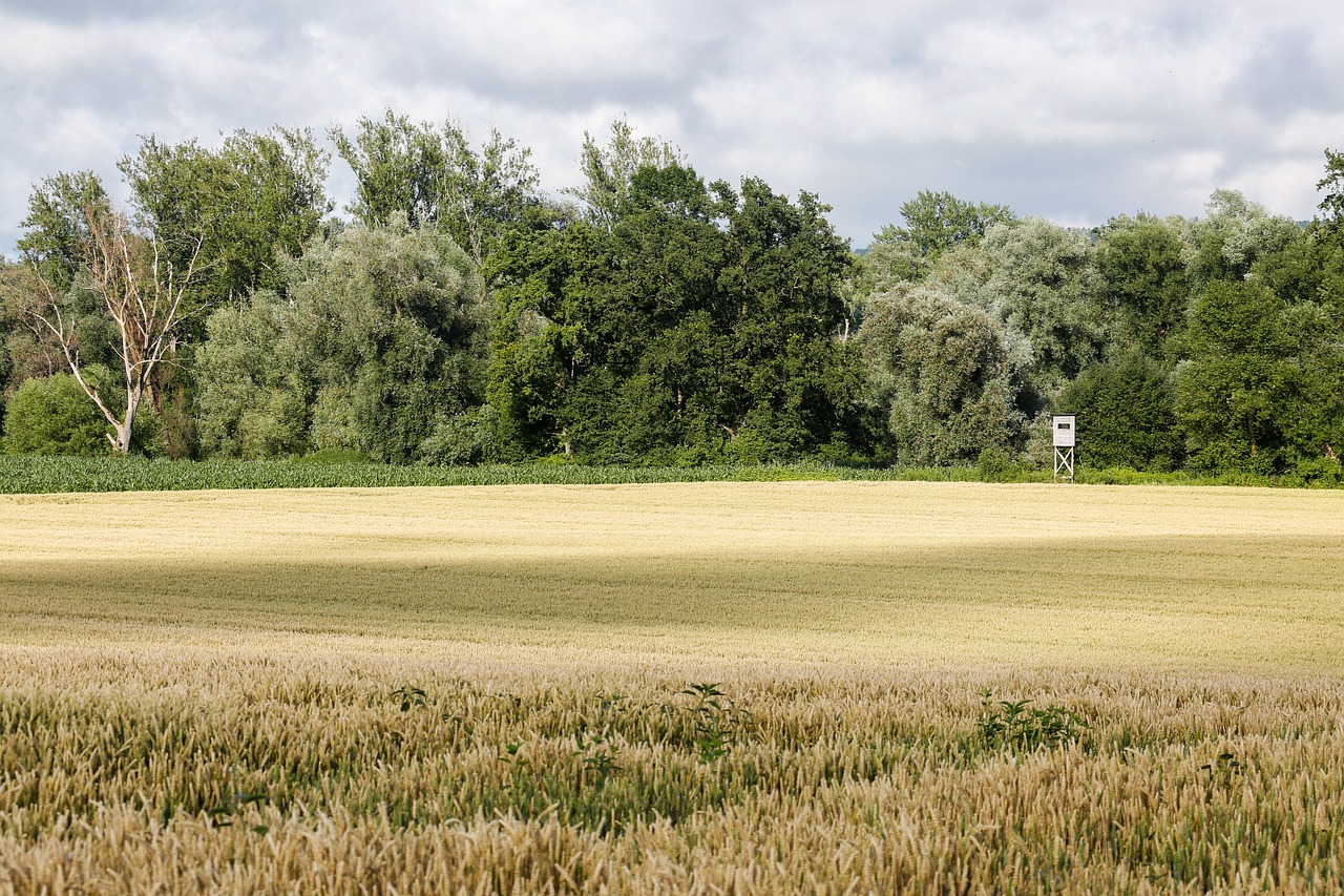 Asociace myslivosti ČR